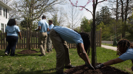 Community Trees - Bay Backpack