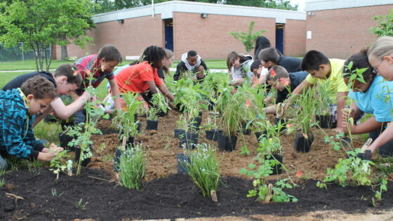 School and Community Gardens - Bay Backpack