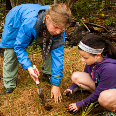 Homepage - Bay Backpack