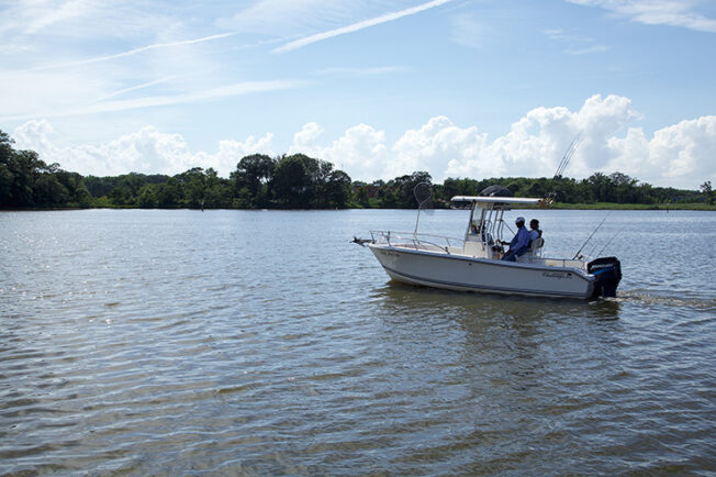 Help Protect the Bay