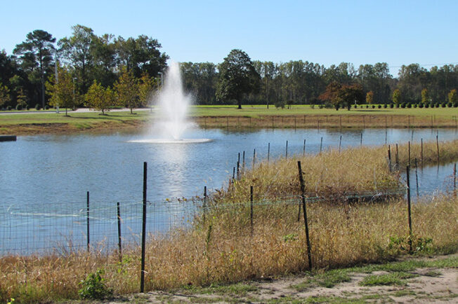 Help Protect the Bay