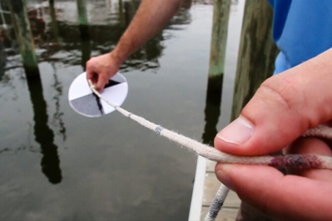 Bay 101: Water clarity