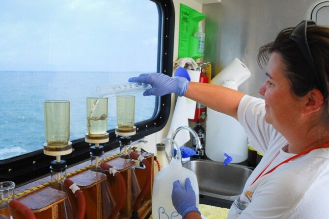 Bay 101: Dissolved oxygen