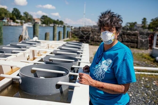 Oyster farmer and educator plays a key role in sustaining a local ...