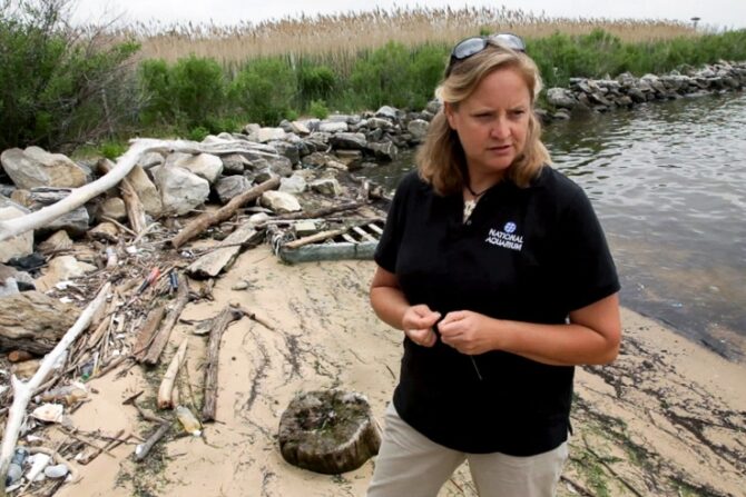 Urban wetland provides refuge for Baltimore wildlife
