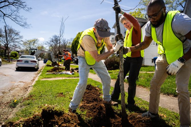 Community tree planting takes place “Where the green is golden”