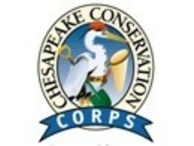 Participants Selected for Second Year of Chesapeake Conservation Corps