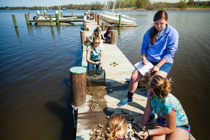Chesapeake Bay Program reports watershed-wide progress toward ...