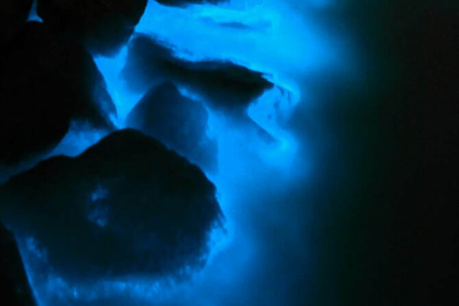 Nature's dazzling parade of lights