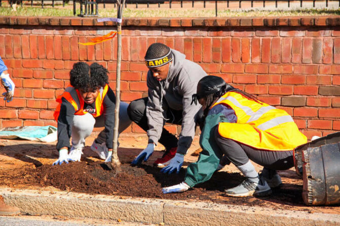 An urban forestry collaborative plants deep community roots