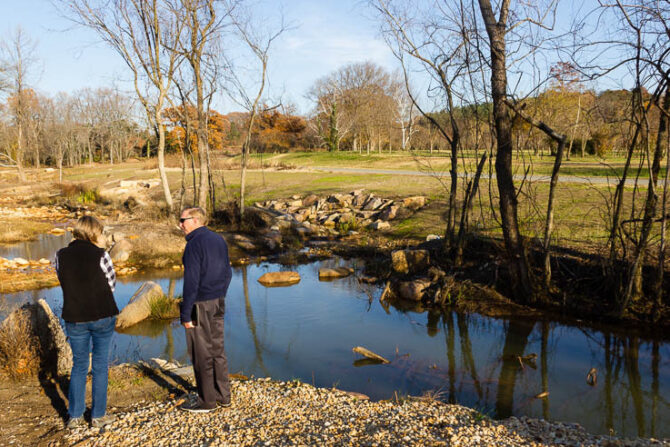 Letting nature run its course