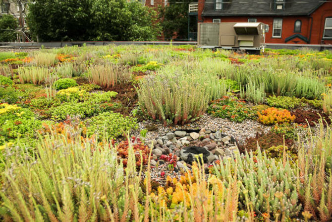 Seeing green in infrastructure