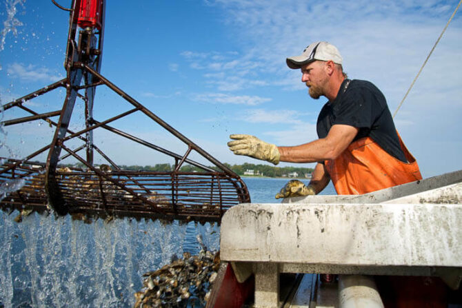 Patent tonging for oysters on the Patuxent River