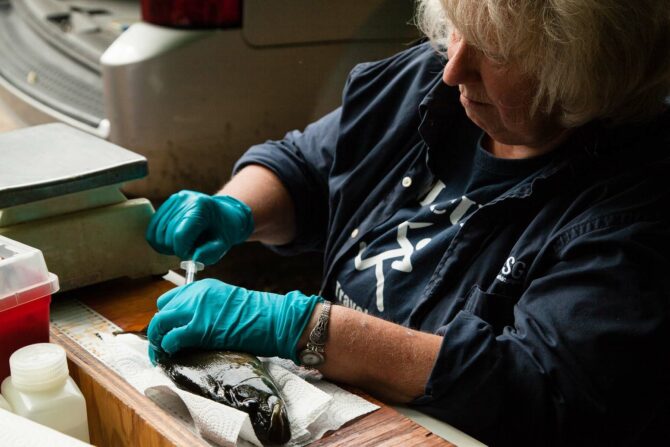 Humans of the Chesapeake: Vicki Blazer