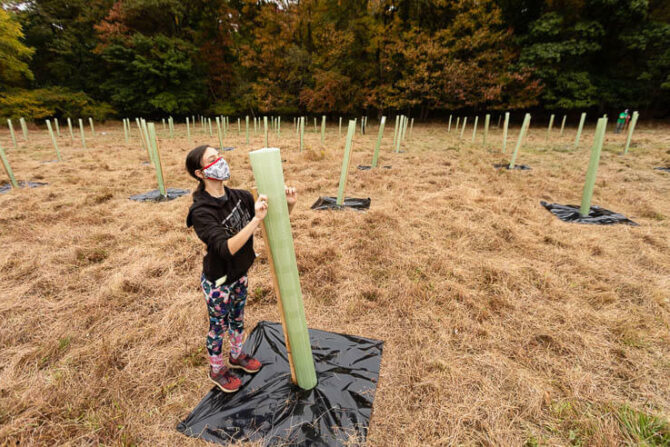 How the Chesapeake region can slow down—and adapt to—climate change