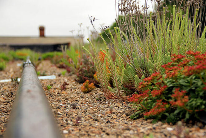 Benefits of green infrastructure can outweigh costs