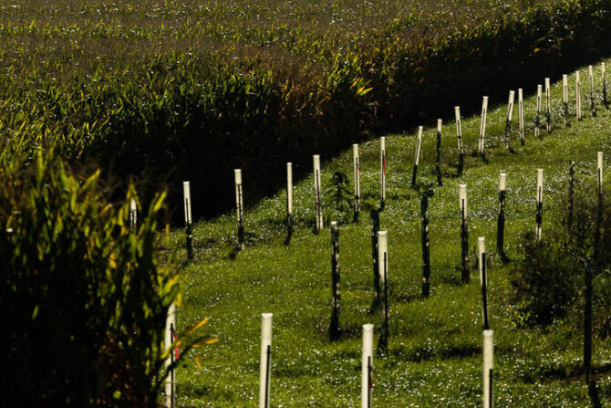 Helping farmers take actions to address agricultural pollution