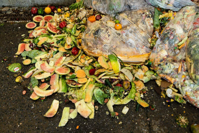 There's a better place for those Thanksgiving leftovers