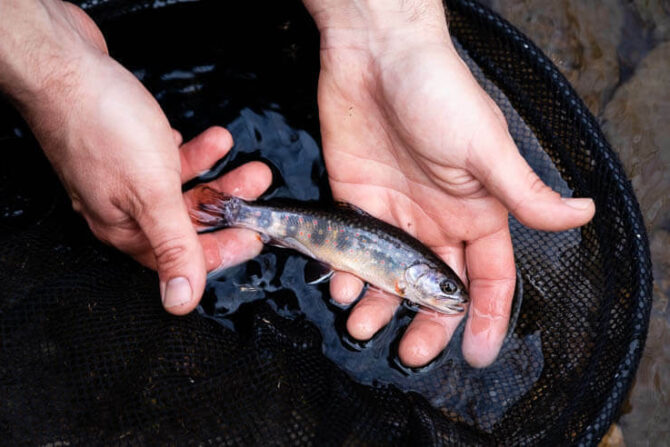 Over $18 million awarded to advance restoration in the Chesapeake Bay ...