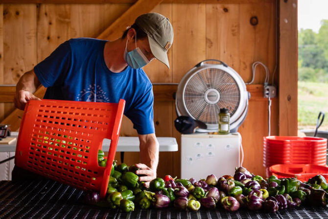 The first farm on the left