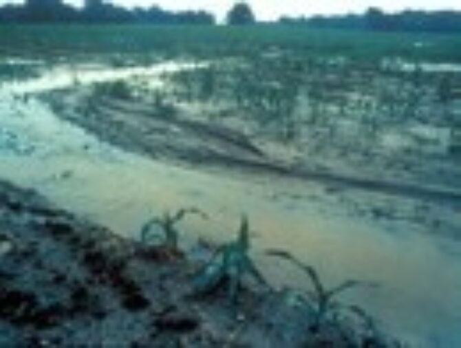 What effect does heavy rainfall have on the Bay?