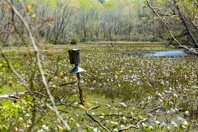 Creating incentives for conservation and land use