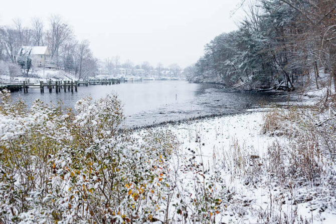 Walking through a snowy woods