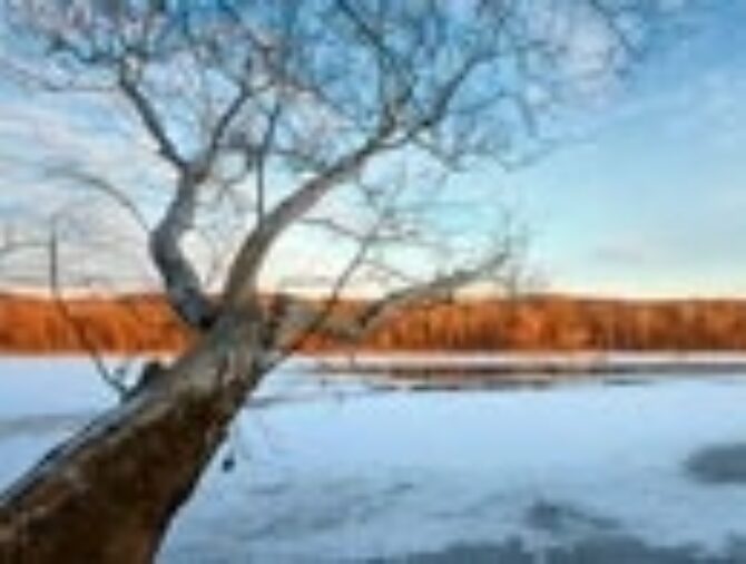 Seven beautiful winter photographs of the Chesapeake Bay watershed