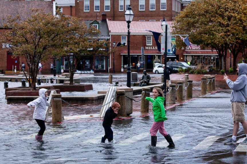 Chesapeake Bay Program federal agencies announce actions to combat ...
