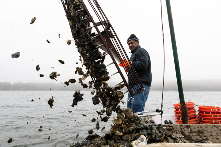 A life on the Chesapeake Bay