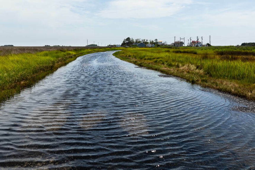 Is the Chesapeake Bay’s water rising or is the land sinking?