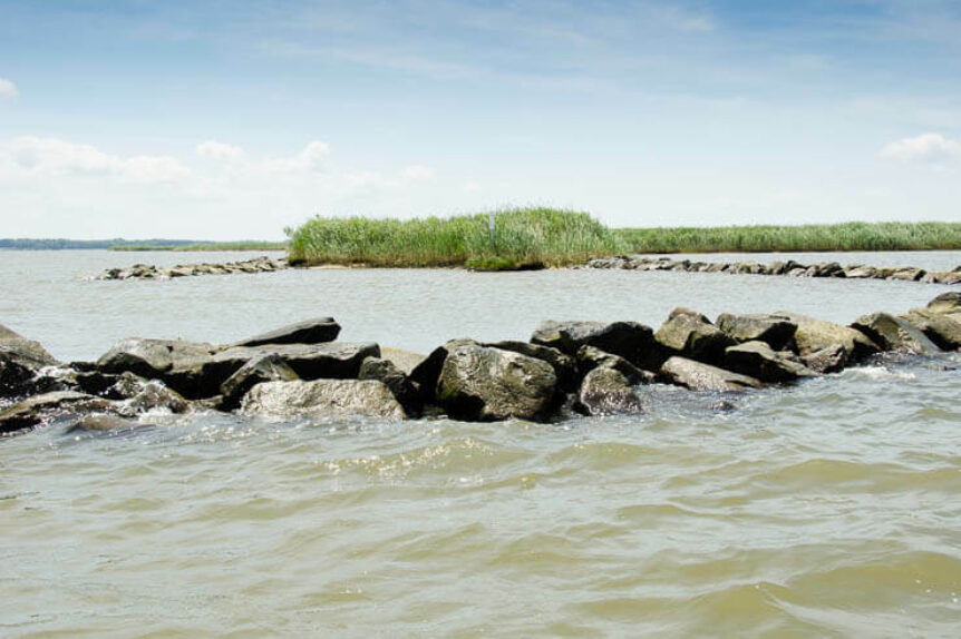 Poplar Island restoration gives Chesapeake new life