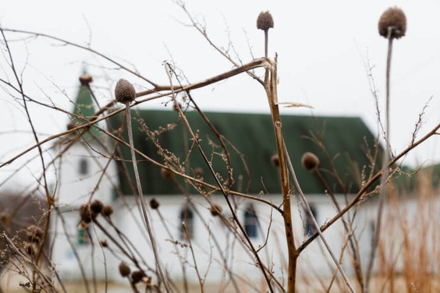 How Chesapeake Bay wetlands can contribute to U.S. carbon reduction goals