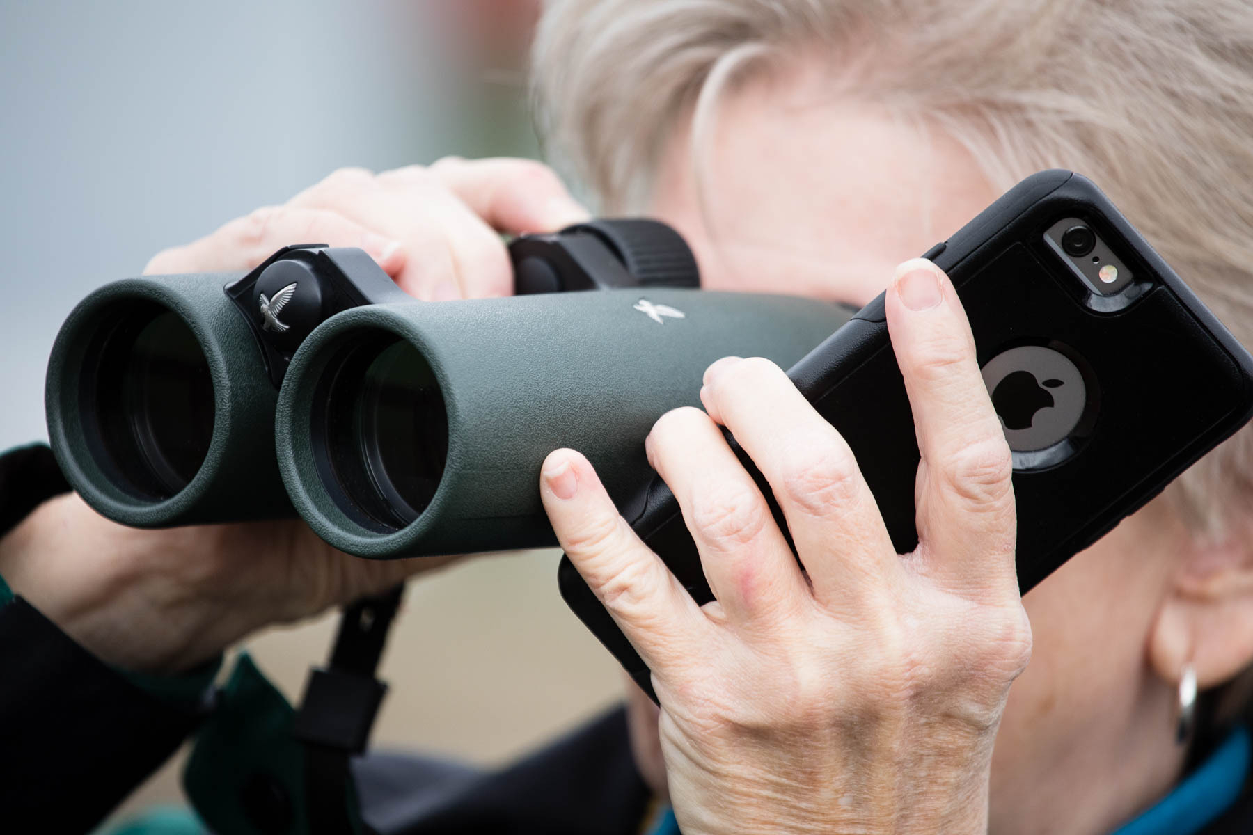 Begin Birding in the Chesapeake