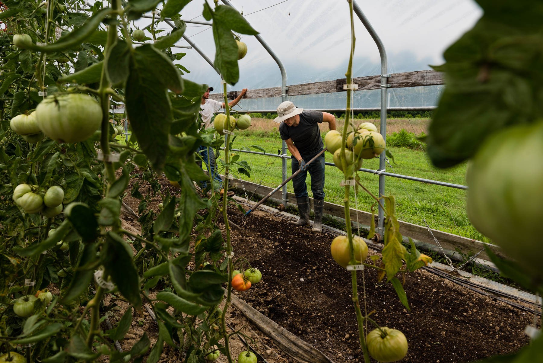 Get to know these eight regenerative farms throughout the Bay watershed