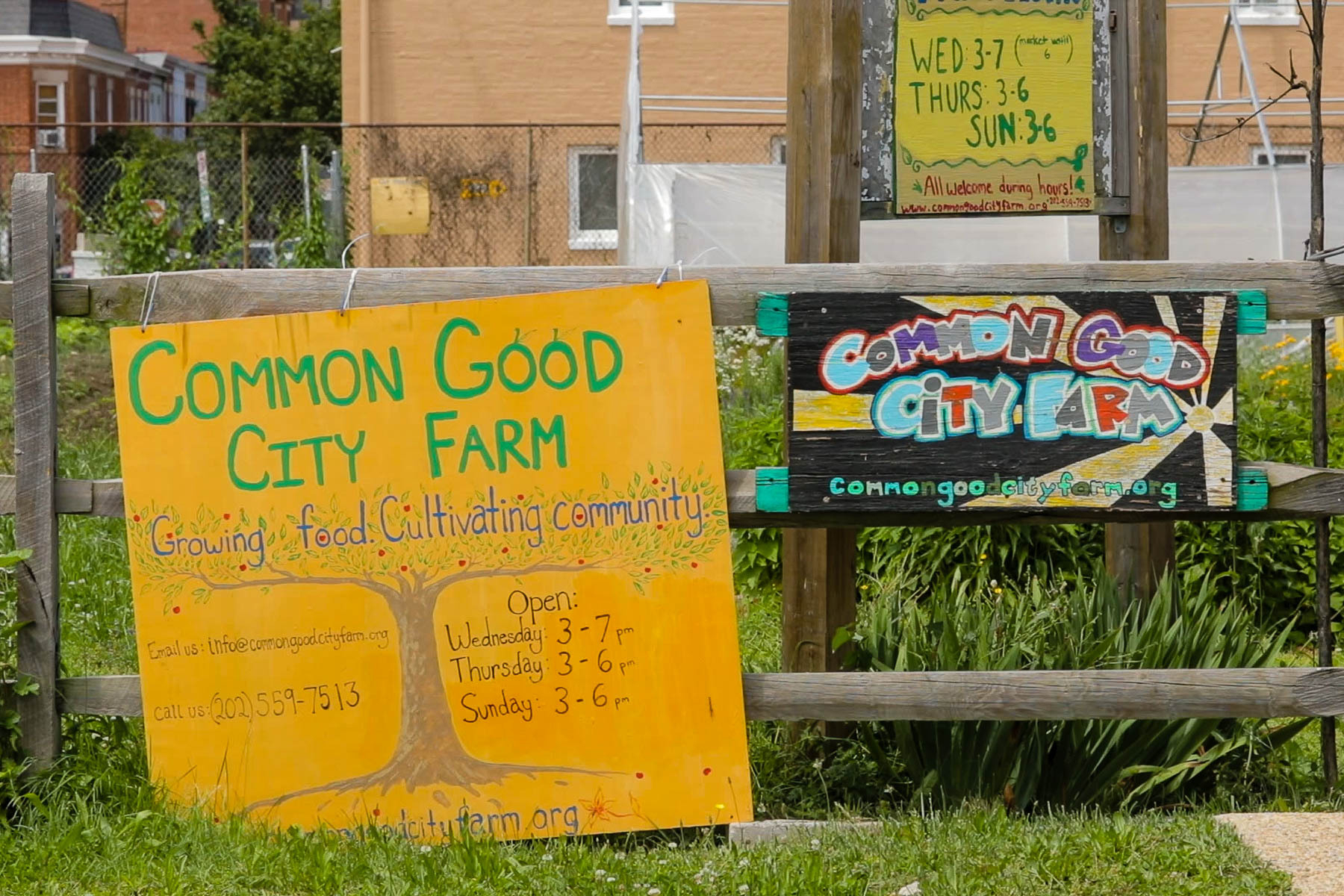 Get to know these eight regenerative farms throughout the Bay watershed