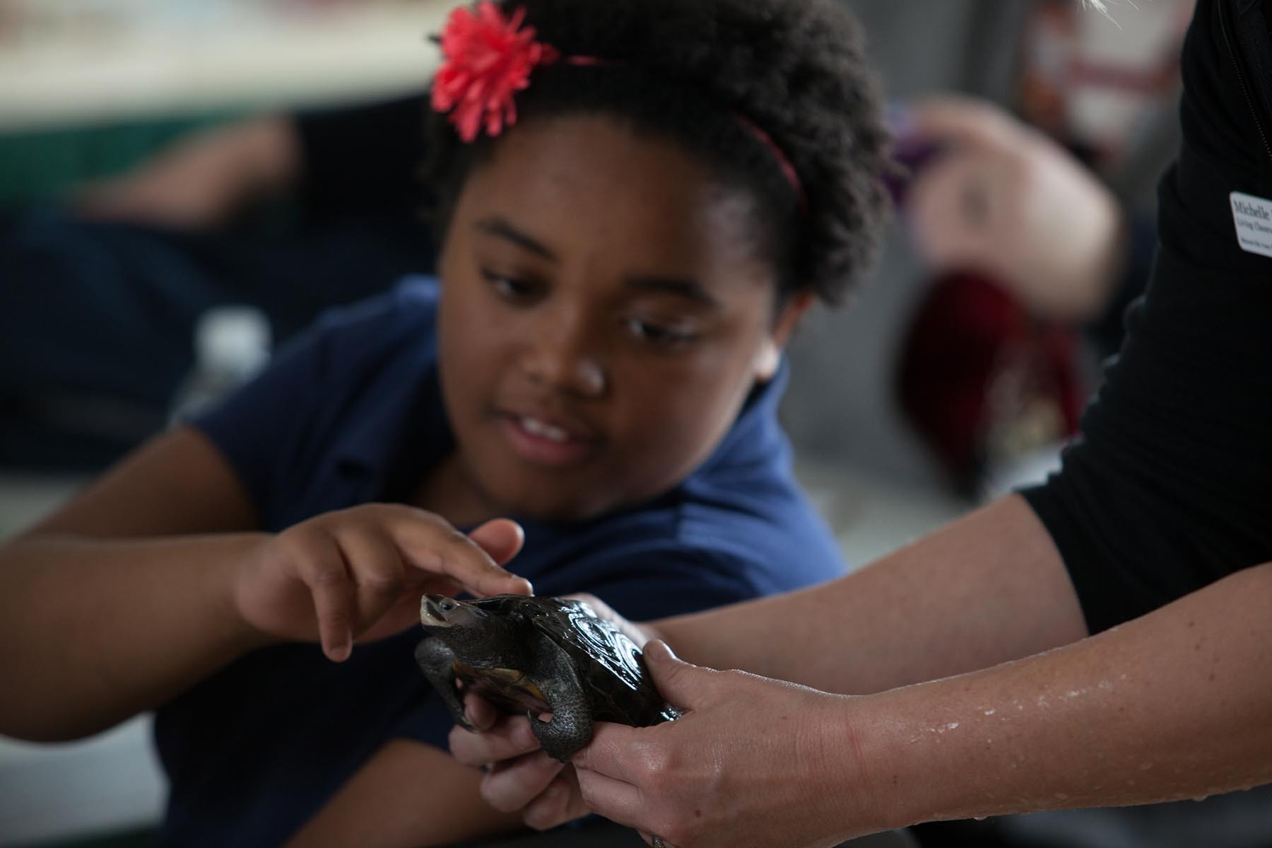 Virginia launches new environmental literacy program