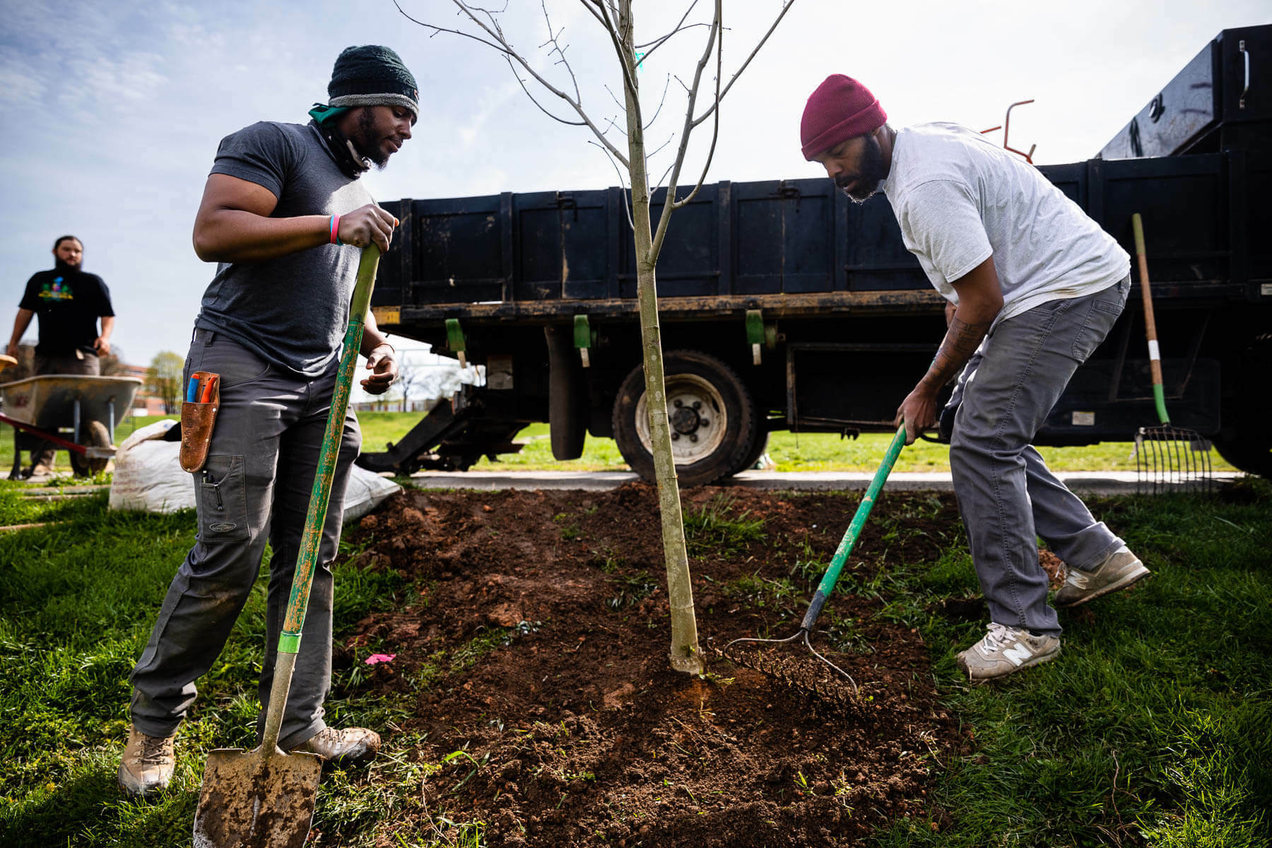 A nonprofit rooted in Baltimore uplifts the city with trees