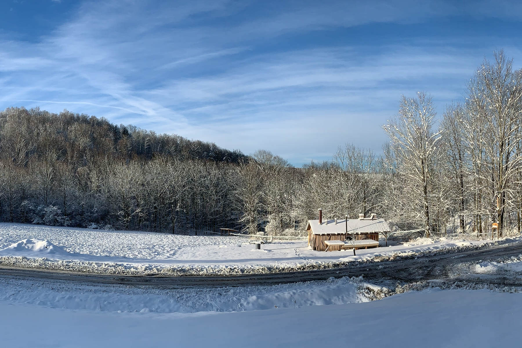 Maple farmer plants trees for the next generation