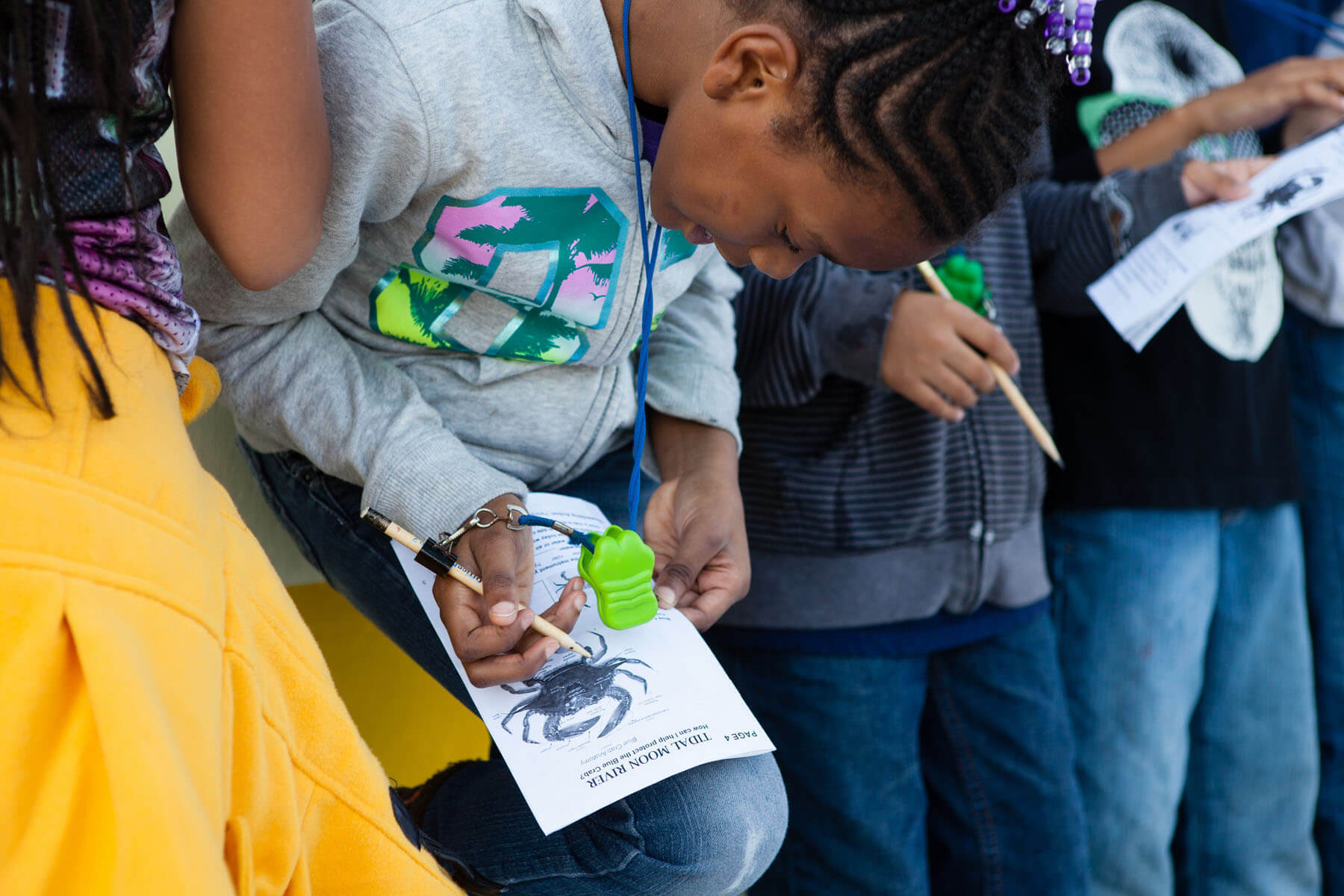 Chesapeake Bay Program reports watershed-wide progress toward ...