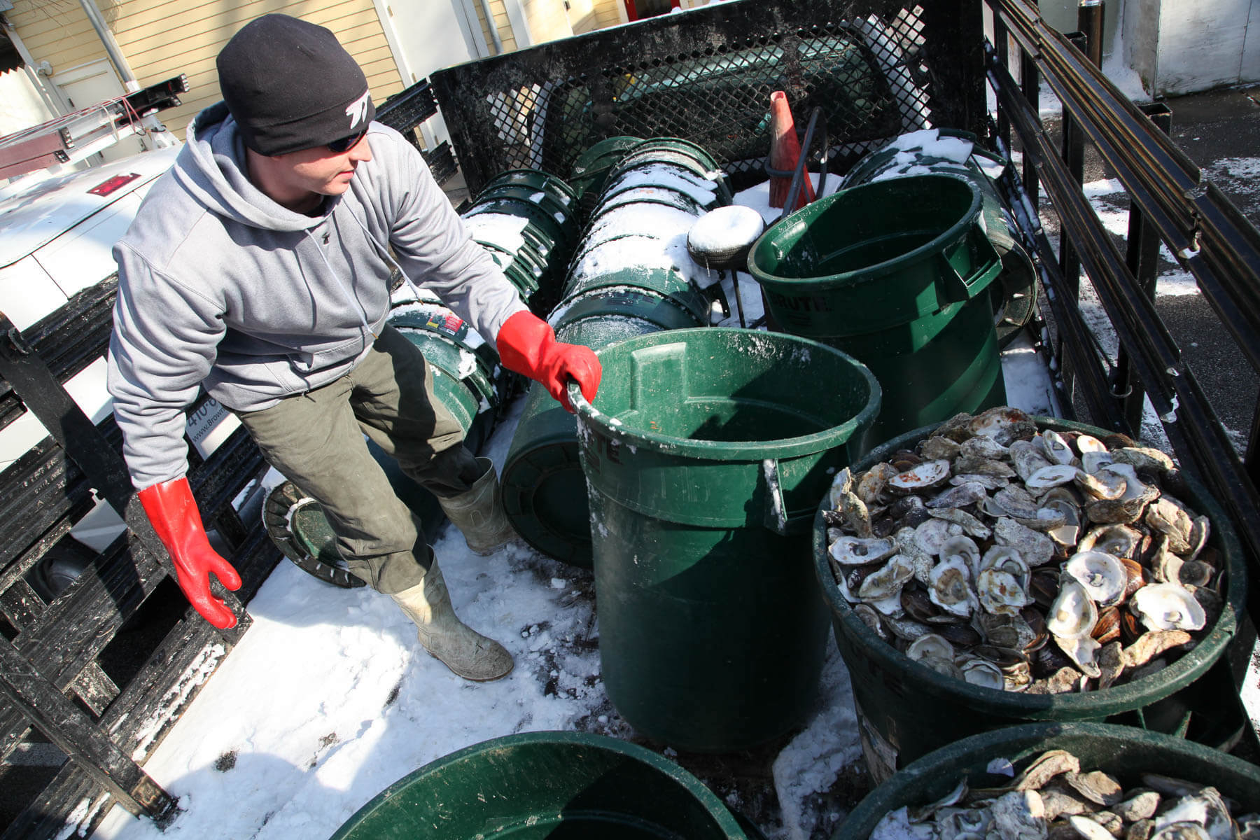 Restaurants recycle oyster shells to bring bivalve back to Bay