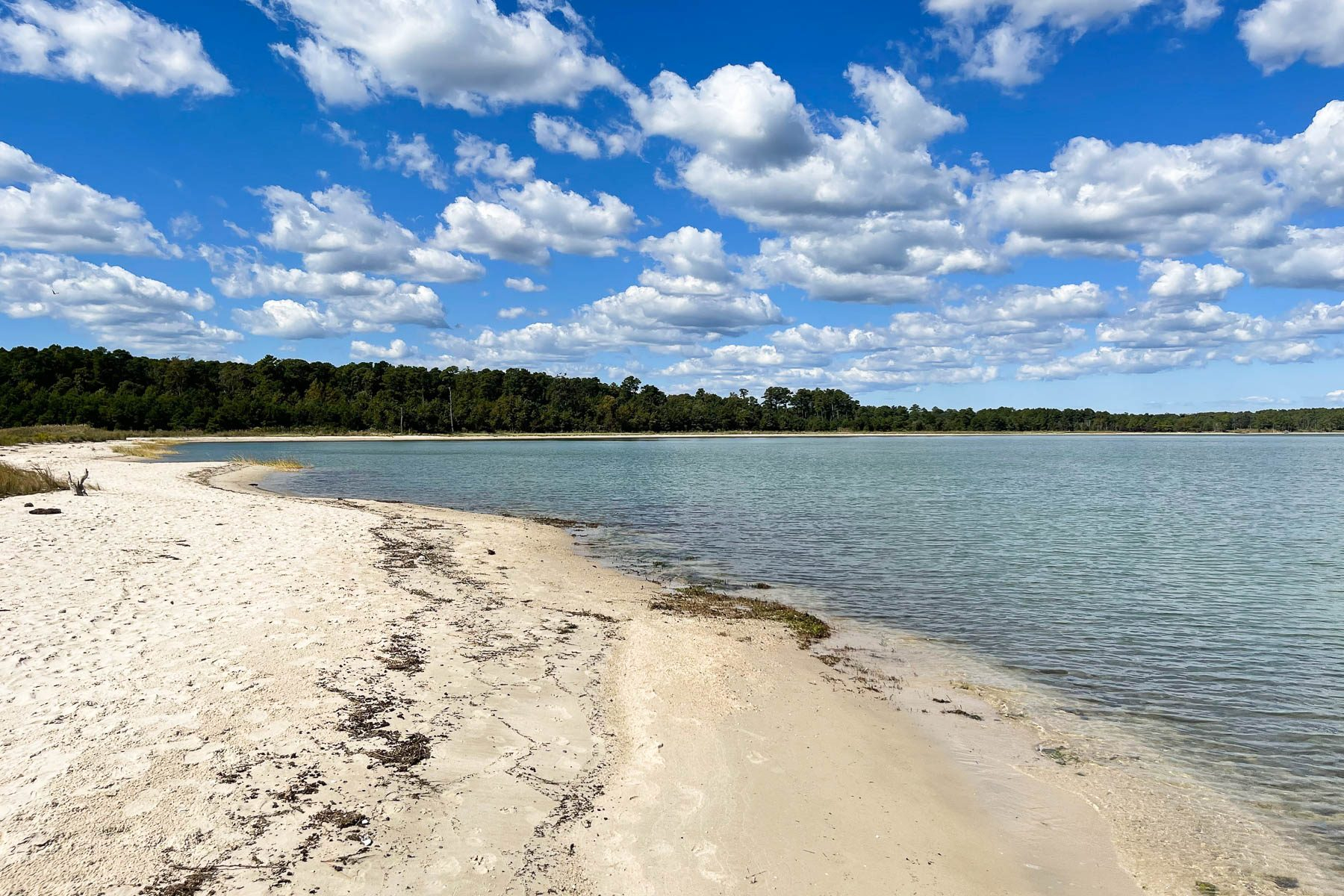 Out of 123 Chesapeake Bay beaches—here are six not to miss
