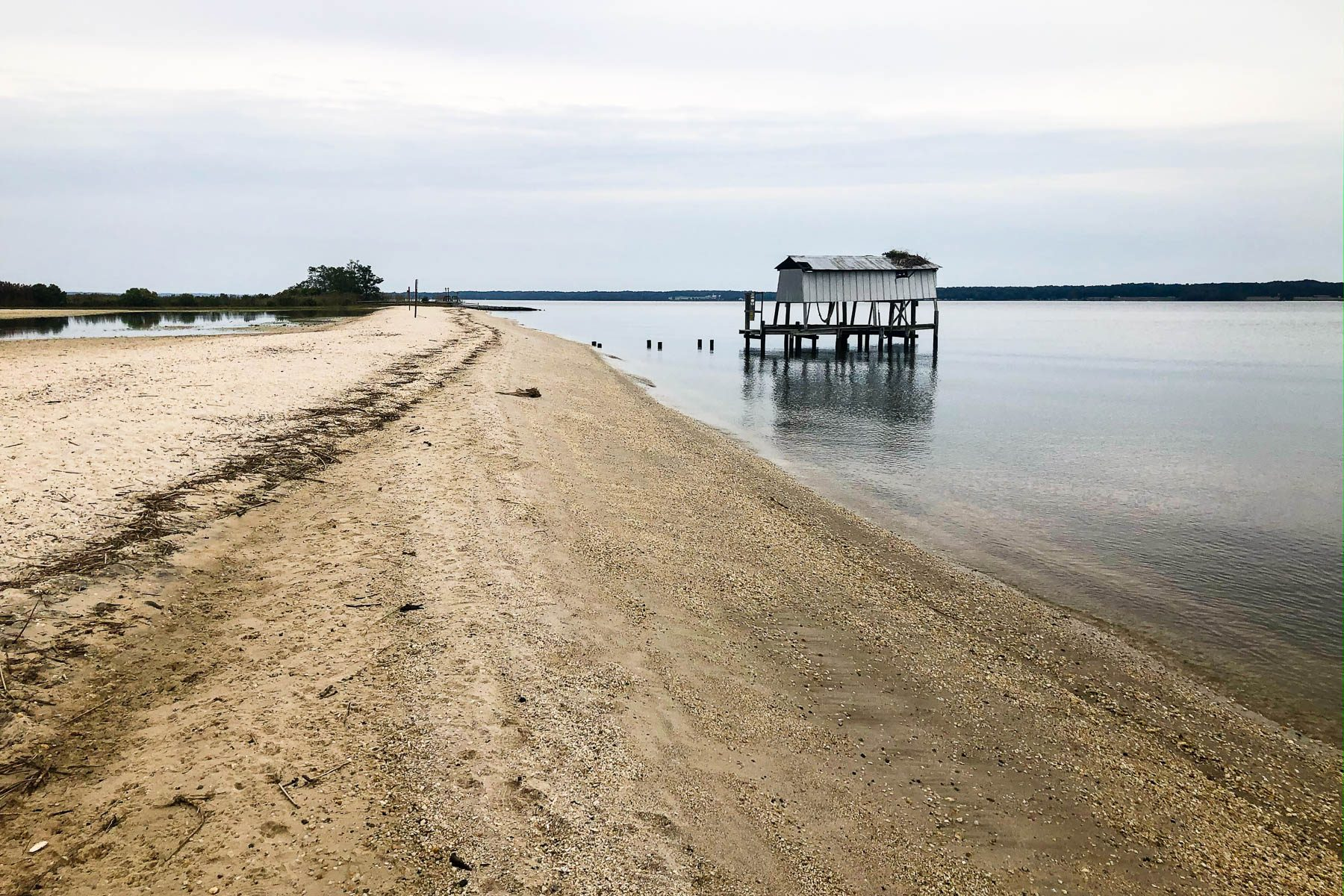 Out of 123 Chesapeake Bay beaches—here are six not to miss