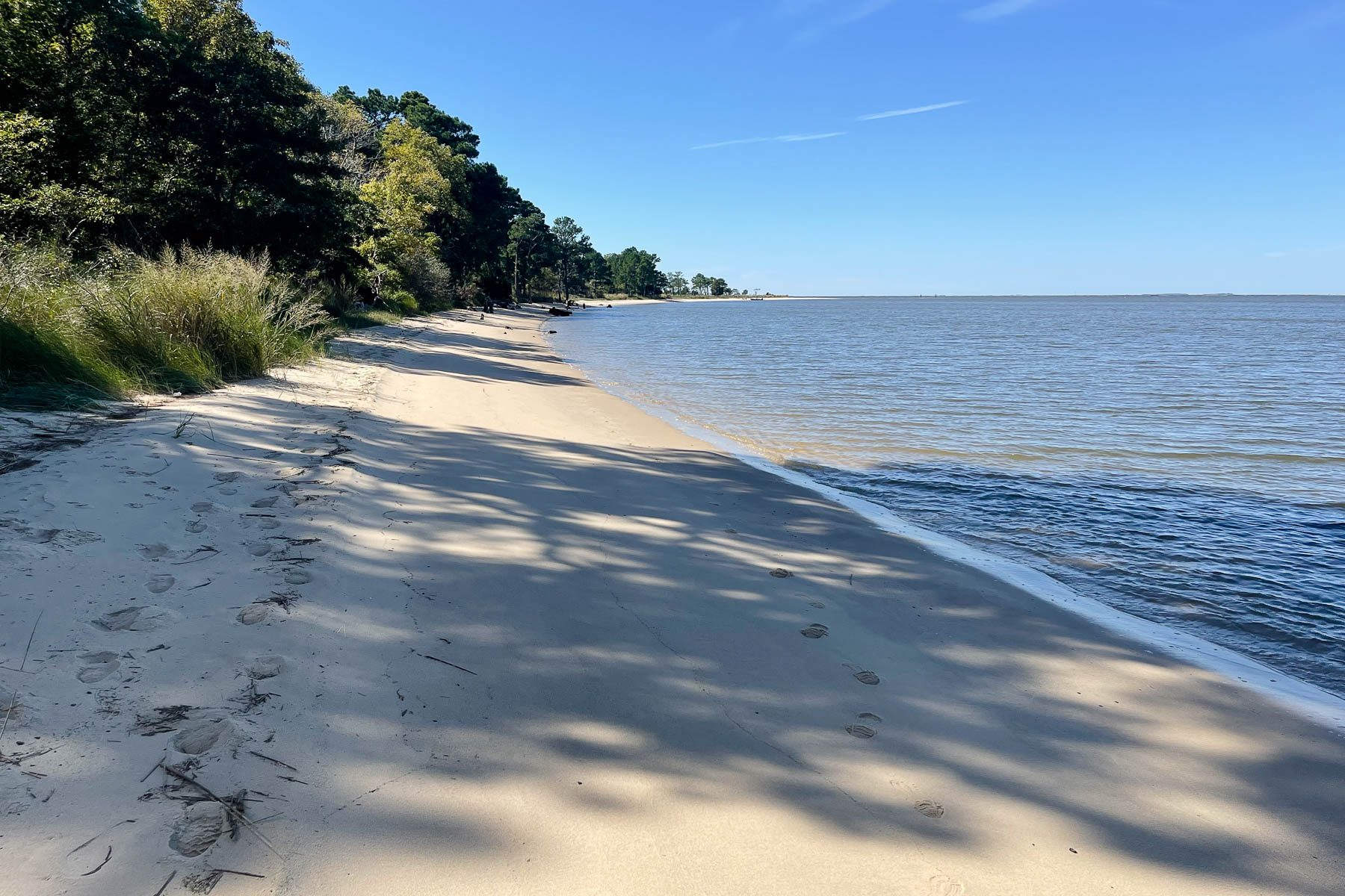 Out of 123 Chesapeake Bay beaches—here are six not to miss