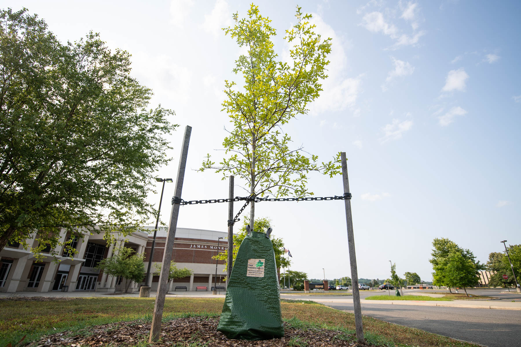 Are we trading trees for concrete?