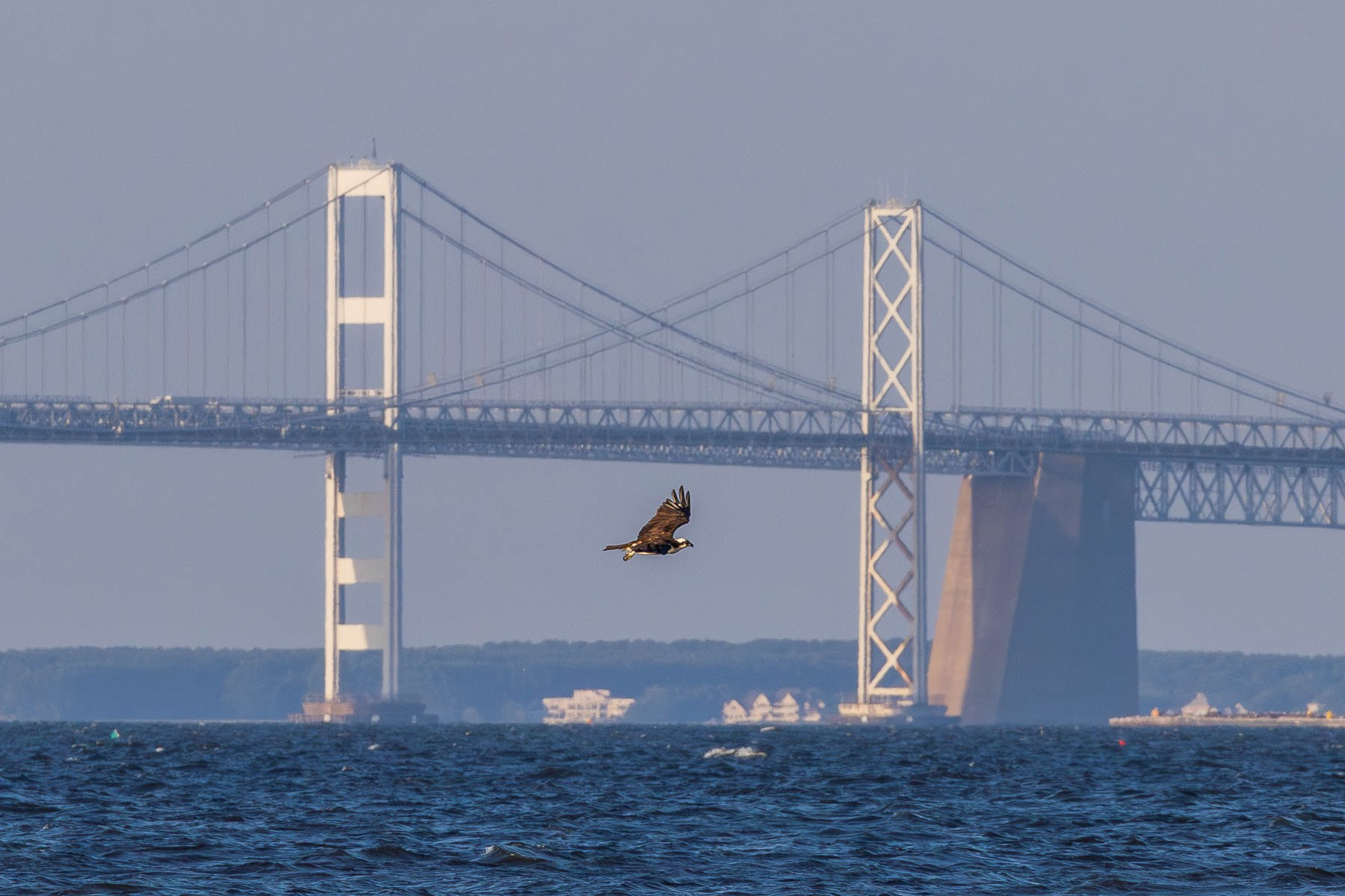 Black history revived at a historic Chesapeake Bay beach