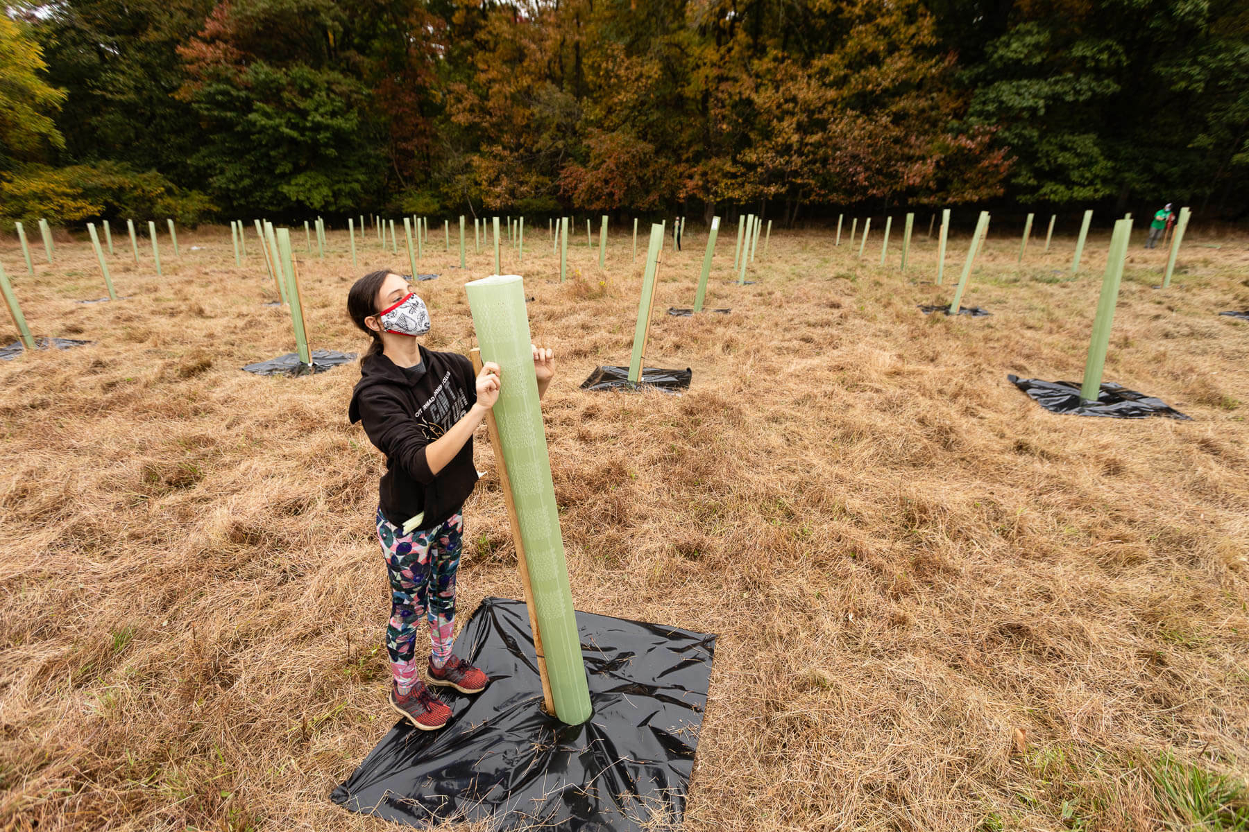 How the Chesapeake region can slow down—and adapt to—climate change