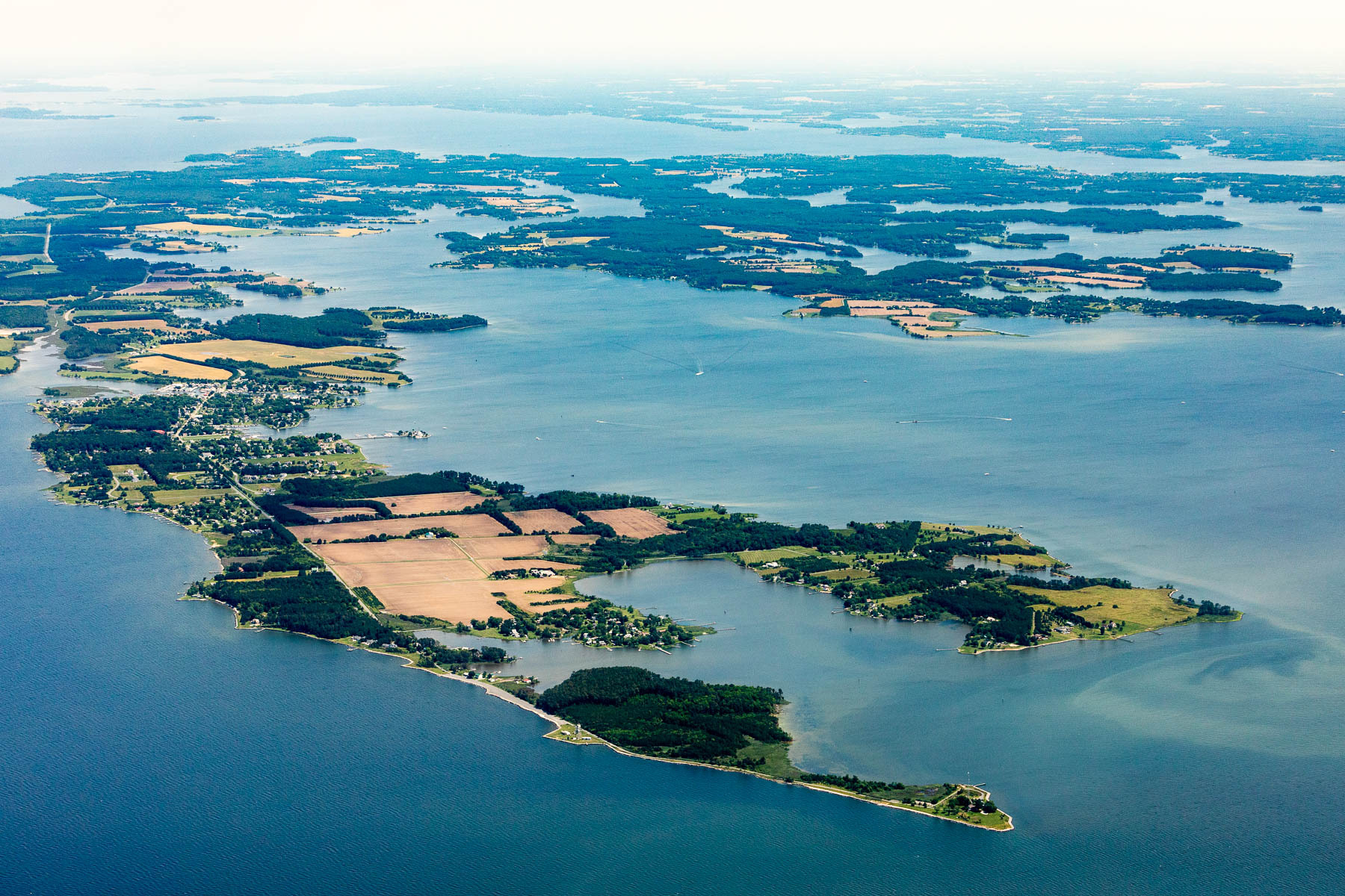 40 years of dedication to Chesapeake Bay oysters—and their many benefits