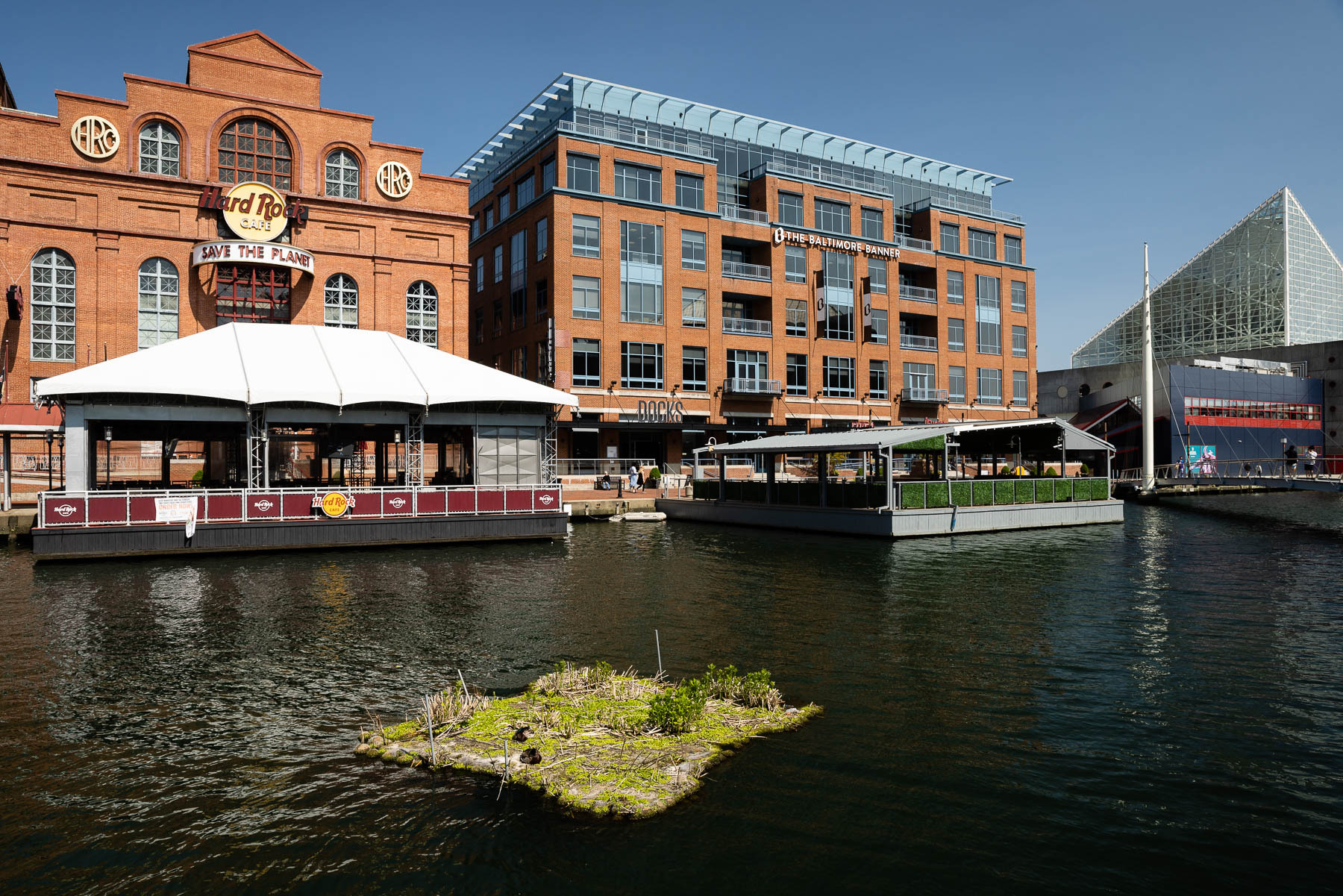 Explore the hidden habitats of Baltimore’s Inner Harbor