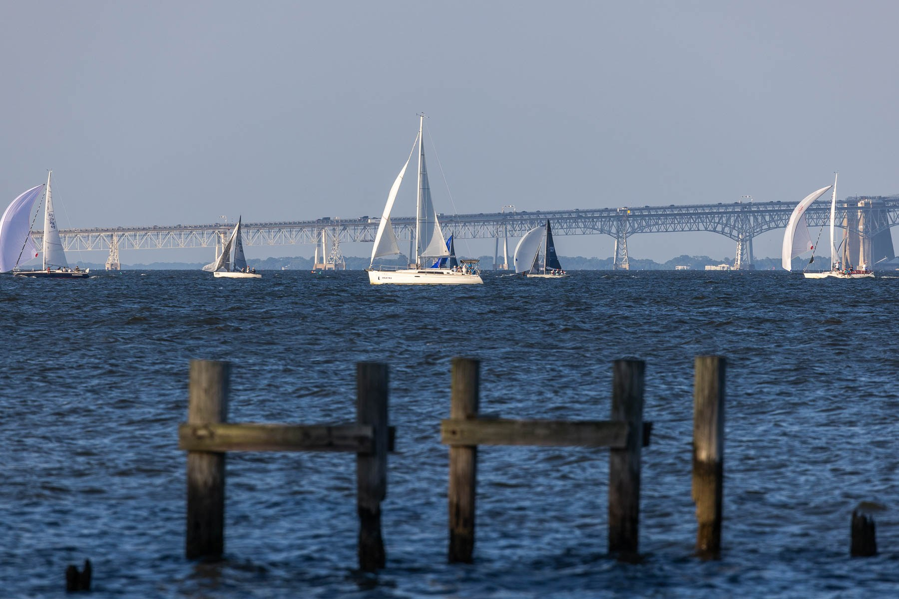 Chesapeake Bay dead zone "near average" in 2024